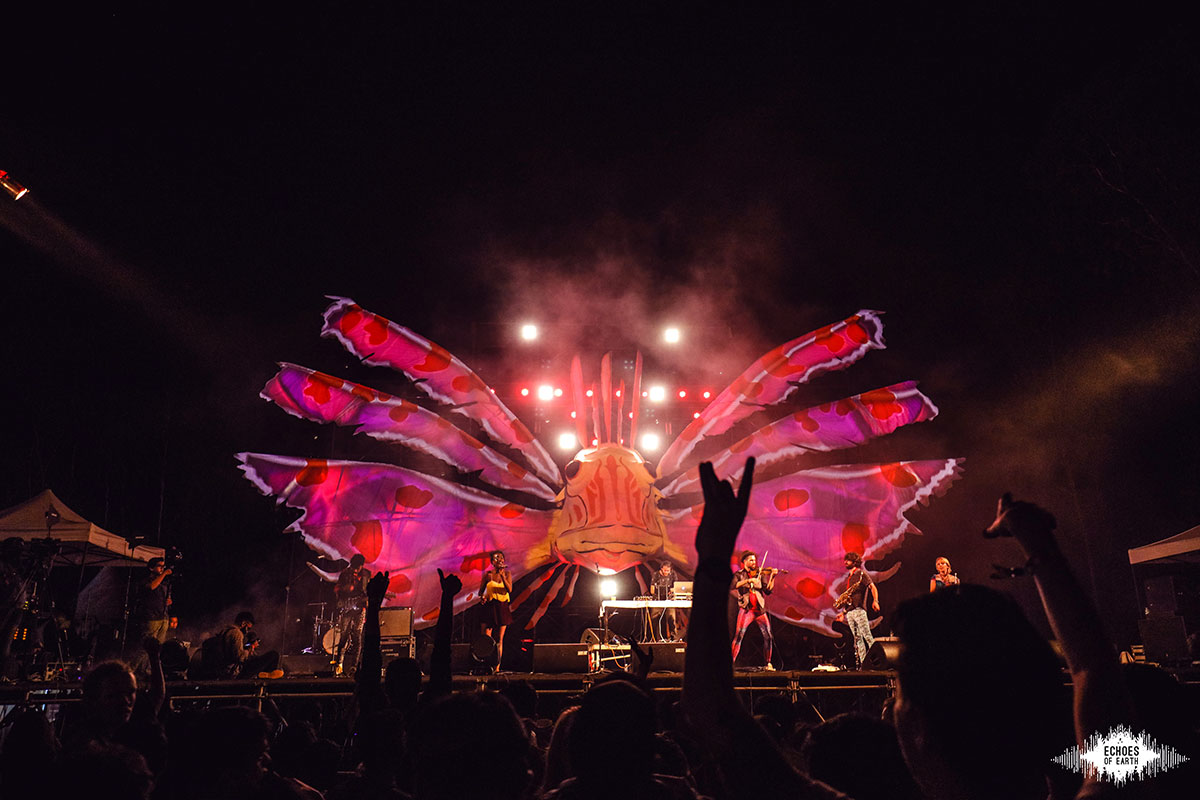 Echoes of Earth: An Eco-friendly Music and Art Festival Promoting ...